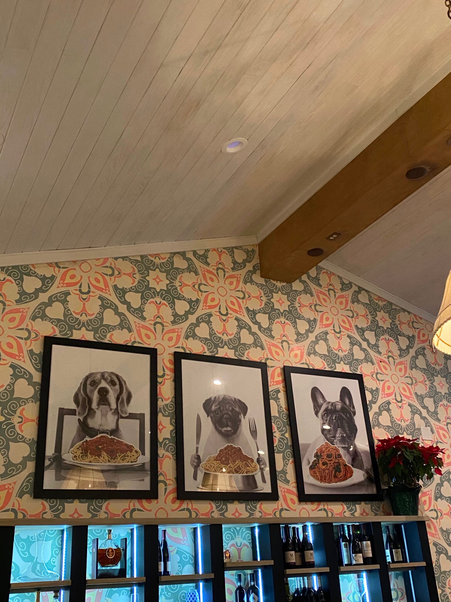 Retro Resort Review: Postcard Inn Islamorada – The Flohemian