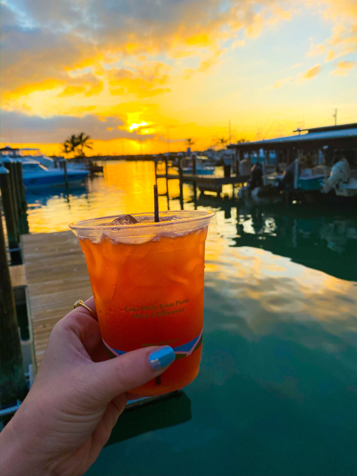 Retro Resort Review: Postcard Inn Islamorada – The Flohemian